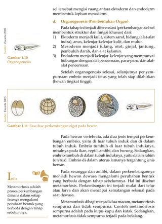 Pertumbuhan dan Perkembangan | PDF