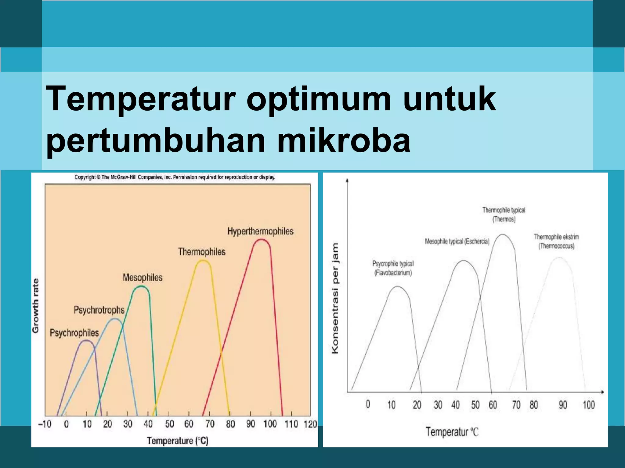 Pertumbuhan Mikroorganisme.pptx