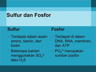 Pertumbuhan Mikroorganisme.pptx