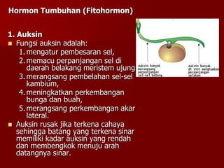 Pertumbuhan & perkembangan | PPTX