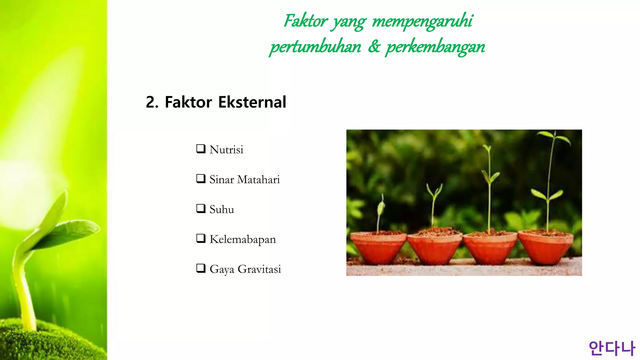 PERTUMBUHAN & PERKEMBANGAN.pptx
