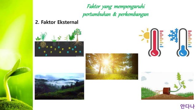 PERTUMBUHAN & PERKEMBANGAN.pptx