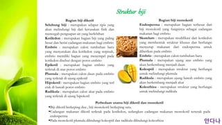 PERTUMBUHAN & PERKEMBANGAN.pptx