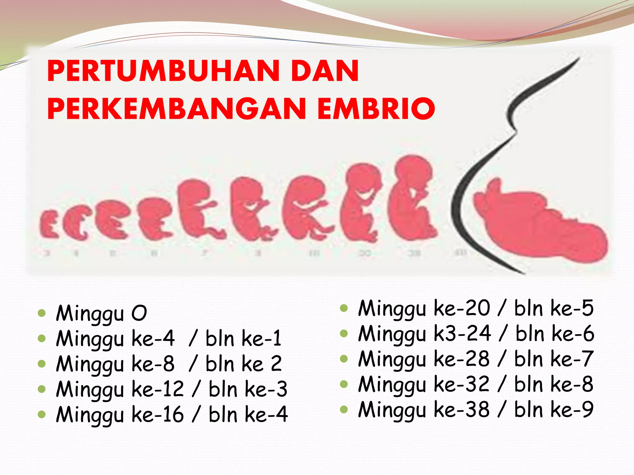 Pertumbuhan & perkembangan hasil konsepsi | PPTX