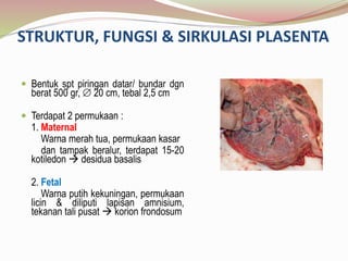 Pertumbuhan & perkembangan hasil konsepsi | PPTX