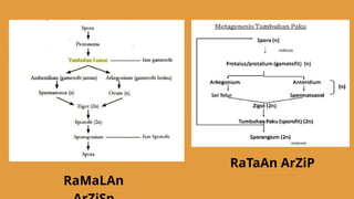 Pertumbuhan & Perkembangan Makhluk Hidup.pptx