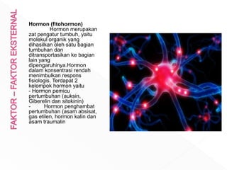 Pertumbuhan_Perkembangan_pada_Tumbuhan.pptx