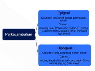 Pertumbuhan_Perkembangan_pada_Tumbuhan.pptx