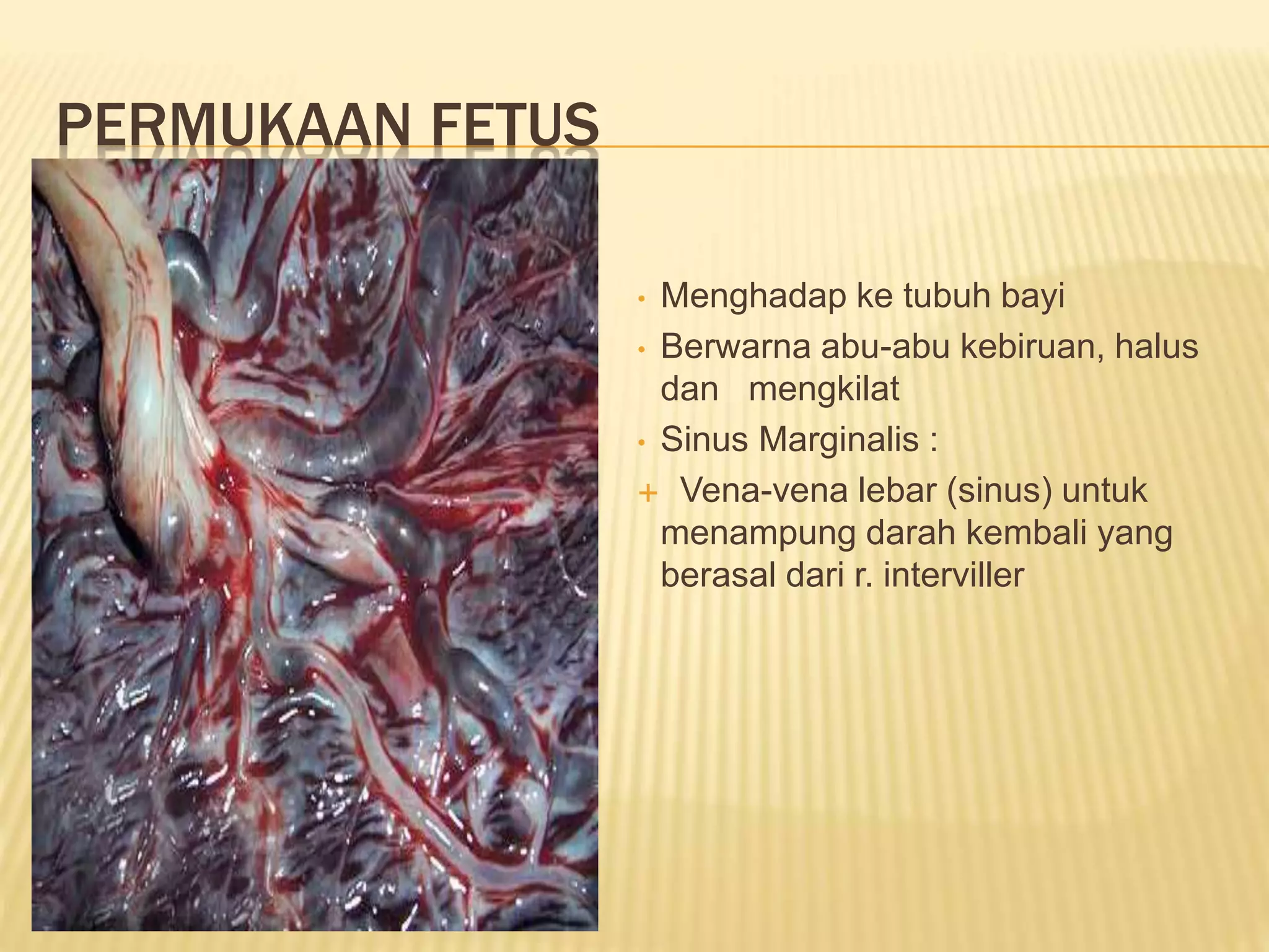 Pertumbuhan plasenta dr.emminarty | PPTX