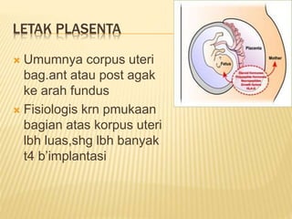 Pertumbuhan plasenta dr.emminarty | PPTX