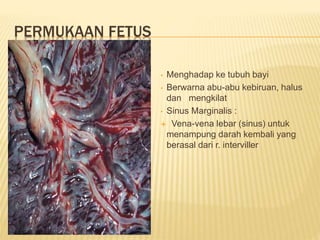 Pertumbuhan plasenta dr.emminarty | PPTX