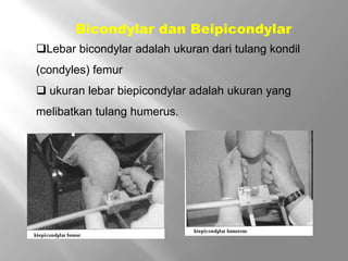 Pertumbuhan somatik | PPTX