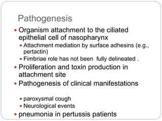 Pertusis | PPTX | Infectious Diseases | Diseases and Conditions