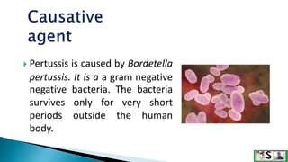 Pertusis in english | PPTX