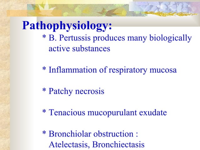 Pertussis | PPT | Infectious Diseases | Diseases and Conditions