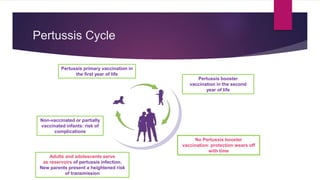 Pertussis | PPTX