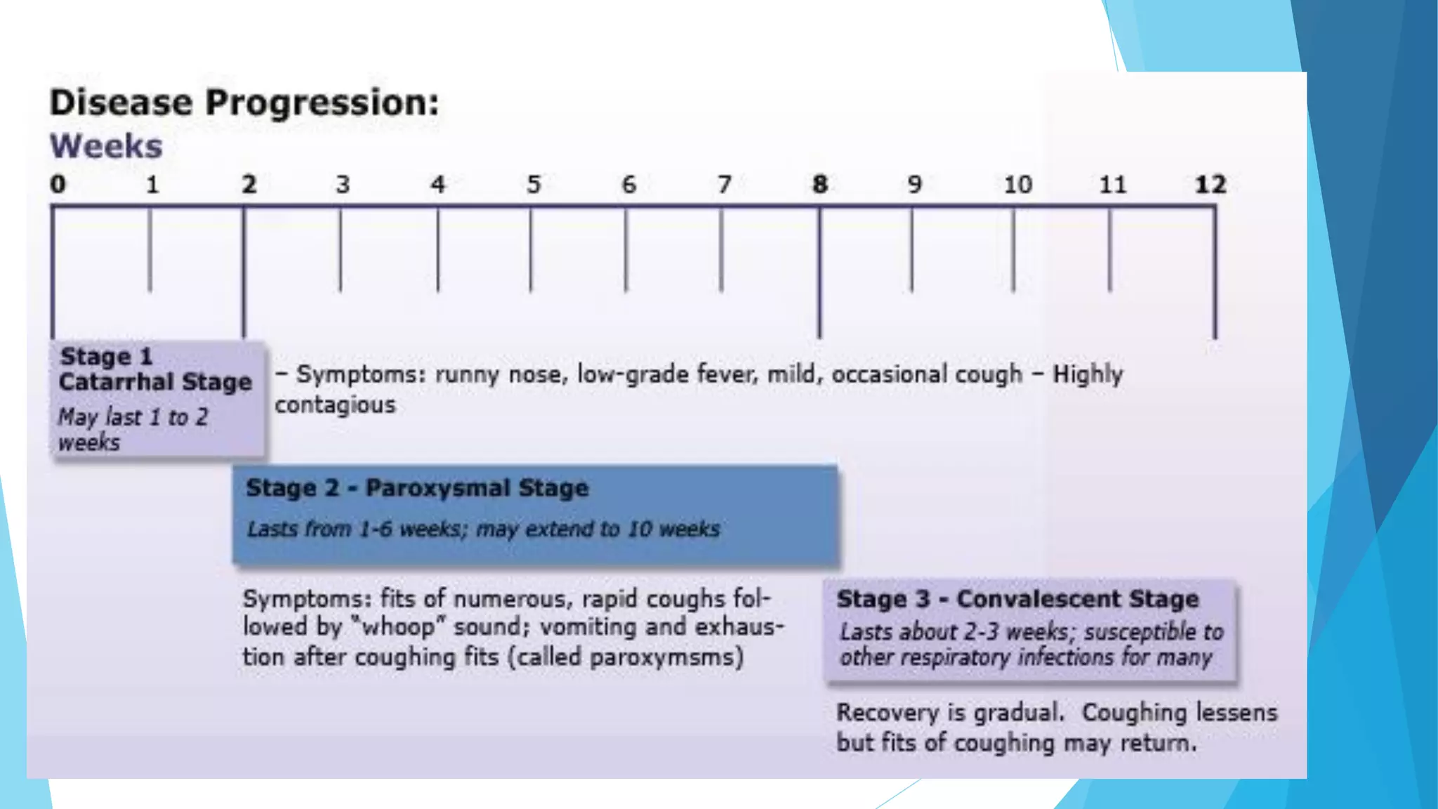 Pertussis | PDF