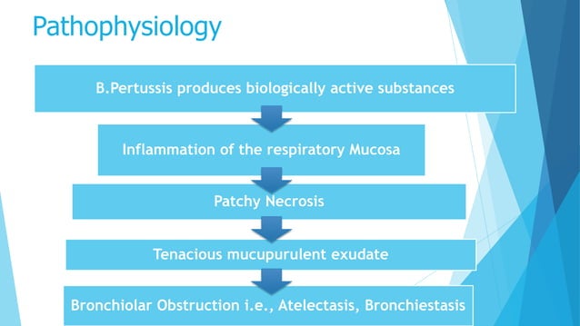 Pertussis | PDF | Ear, Nose and Throat Conditions | Diseases and Conditions