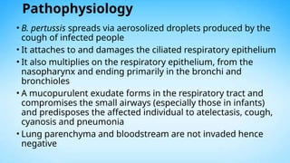 PERTUSSIS- etiology, complications, management pptx | PPTX