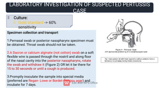 Pertussis : what should we know? Primary care | PPT