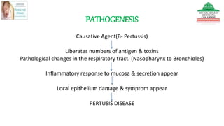 Epidemiology and Control Measure for Pertussis whooping c | PPT