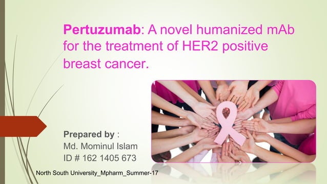 Pertuzumab: A novel humanized mAb for the treatment of HER2 positive ...