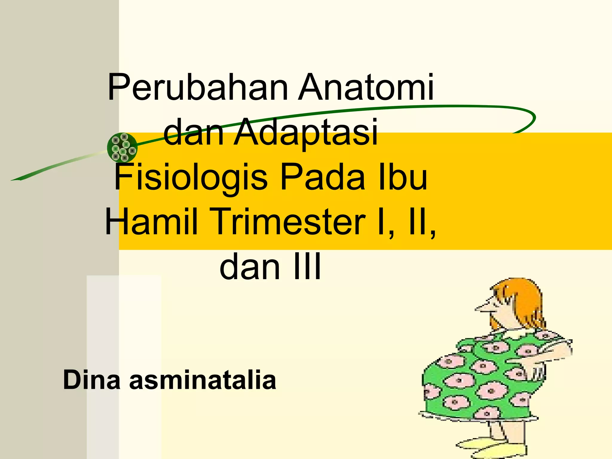 Perubahan anatomi & adaptasi fisiologi pd bumil AKPER PEMKAB MUNA | PPT