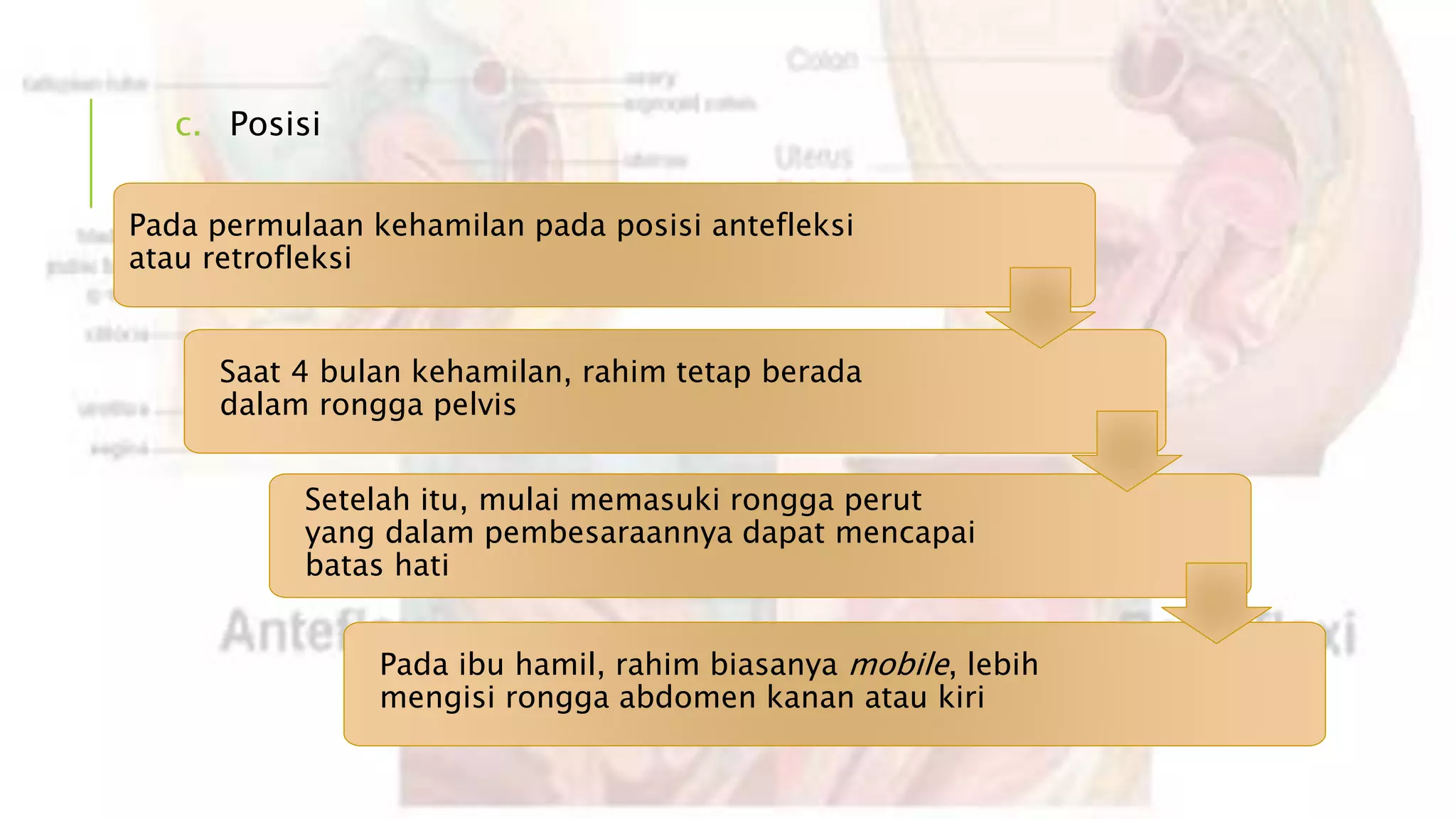 Perubahan anatomi dan adaptasi fisiologis pada ibu hamil | PPTX