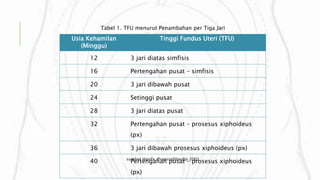 Perubahan anatomi dan adaptasi fisiologis pada ibu hamil | PPTX