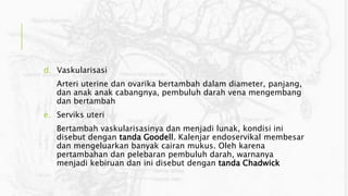 Perubahan anatomi dan adaptasi fisiologis pada ibu hamil | PPTX