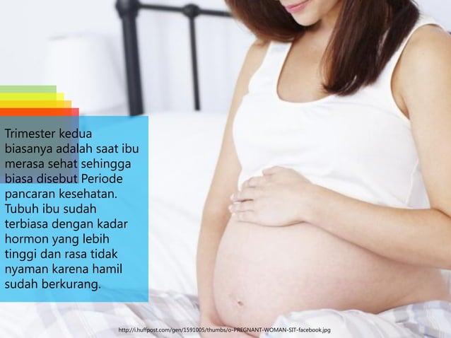 Perubahan dan adaptasi psikologis pada ibu hamil | PDF