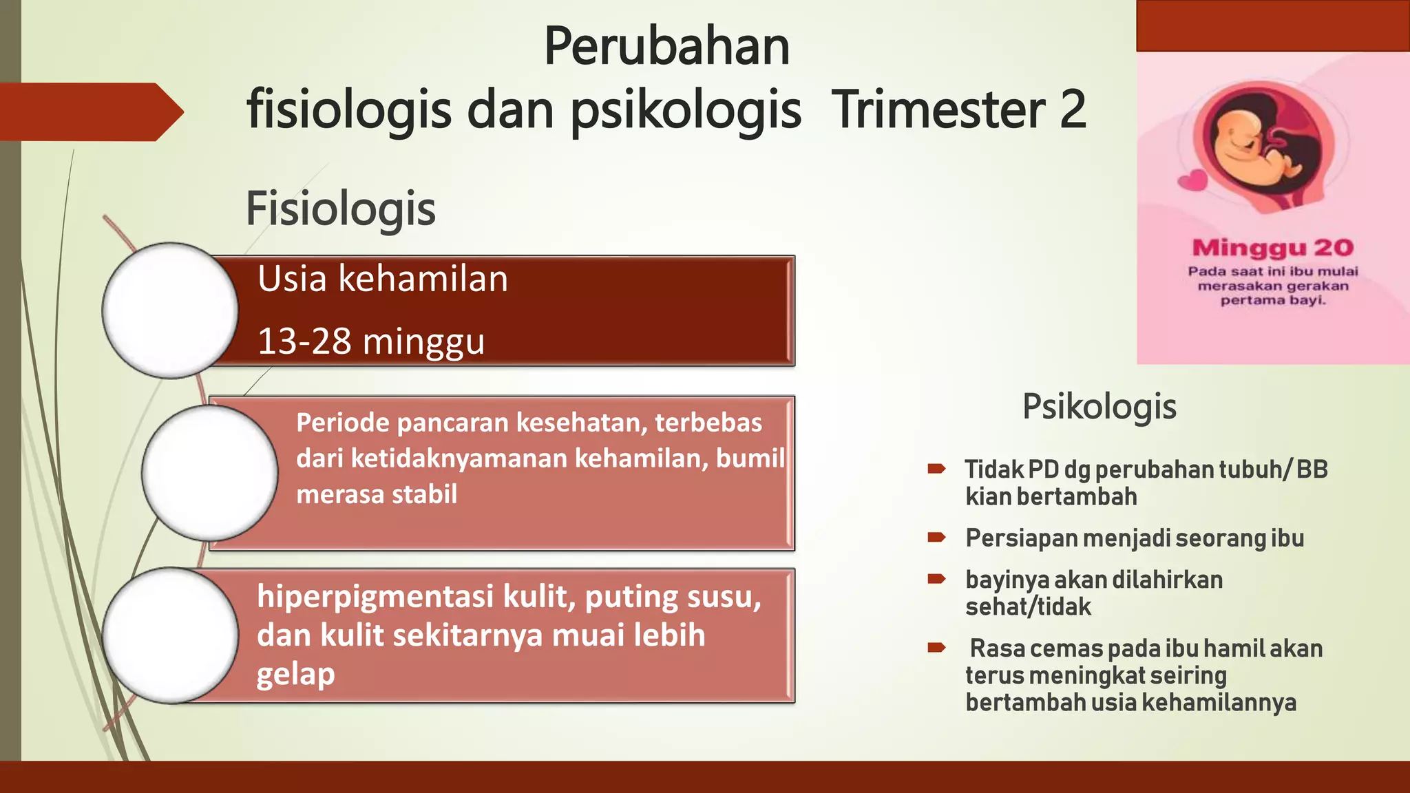 Perubahan fisiologi dan psikologi ibuhamil trimester 1,2 dan.pptx