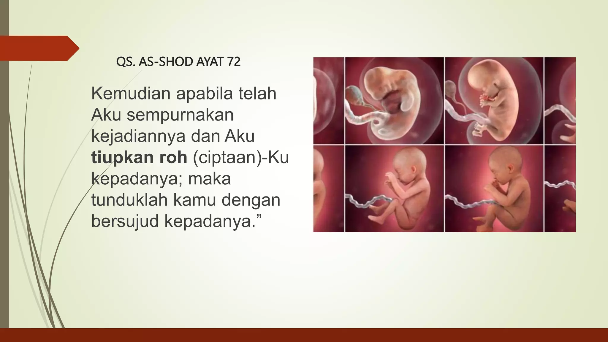 Perubahan fisiologi dan psikologi ibuhamil trimester 1,2 dan.pptx