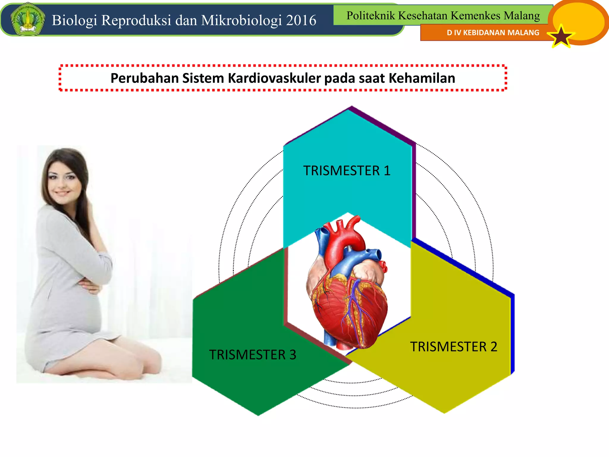PERUBAHAN FISIOLOGI SISTEM KARDIOVASKULER PADA MASA KEHAMILAN | PPTX