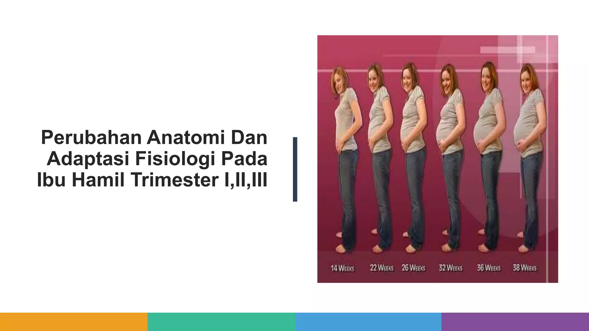 Perubahan Anatomi dan Adaptasi Fisiologi Kehamilan | PPTX