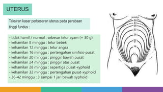 Perubahan Anatomi dan Adaptasi Fisiologi Kehamilan | PPT