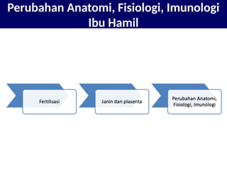 perubahan fisiologis pada kehamilan .ppt