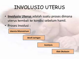 Perubahan fisiologis masa nifas | PPTX