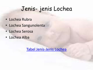 Perubahan fisiologis masa nifas | PPTX