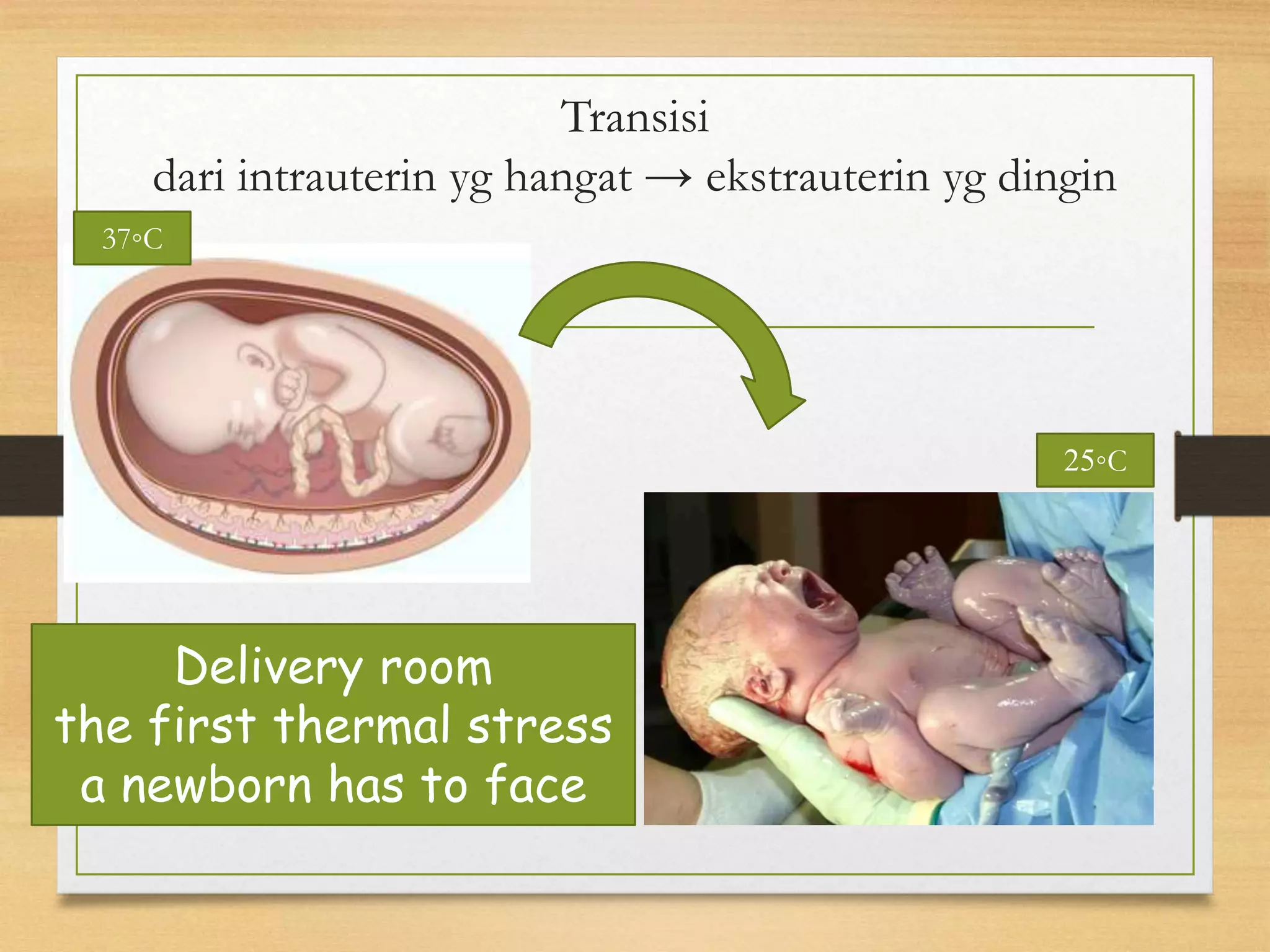 Perubahan Fisiologis Neonatus.pptx