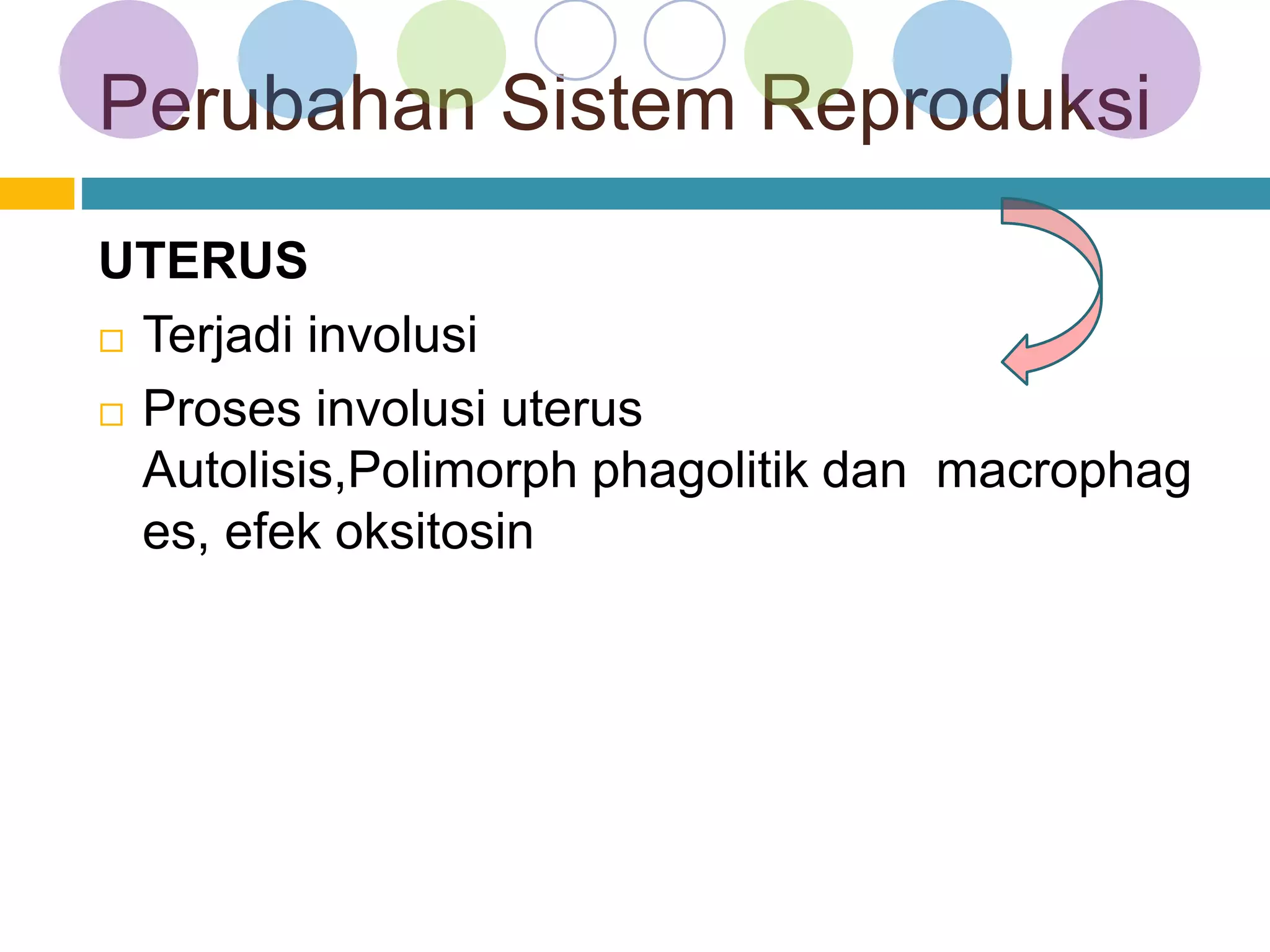 Perubahan fisiologis pada masa nifas | PPTX