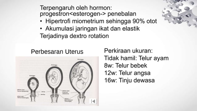 Perubahan pada masa kehamilan pada ibu hamil | PPTX