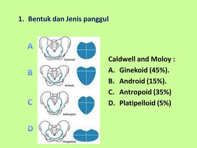 Perubahan persalinan, 3 pP f | PPT