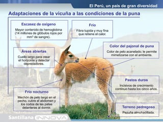 Perú. las 11 ecorregiones, Antonio Brack Egg, ppt.pptx