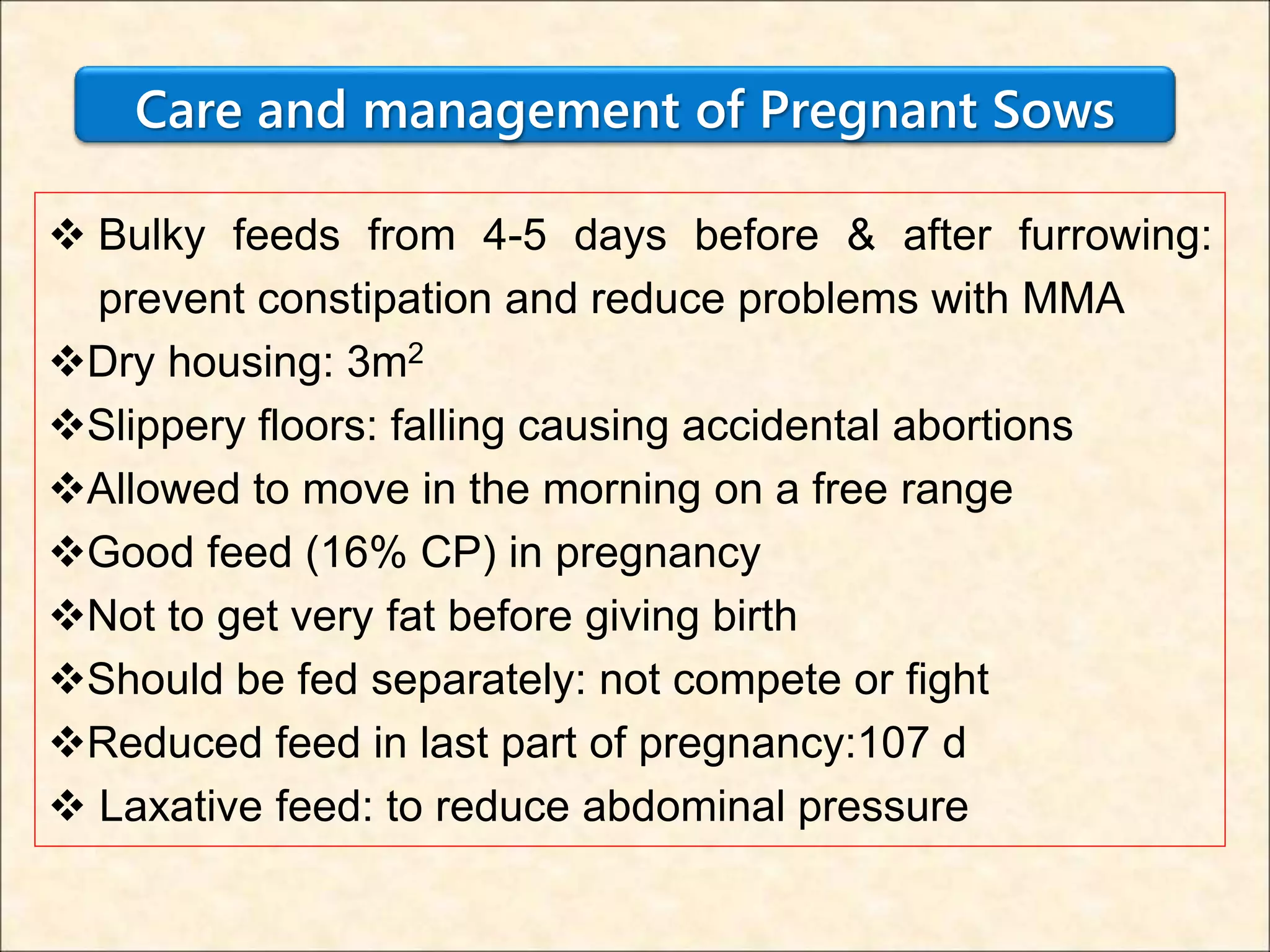 Perumal care and management of pregnant sow | PPTX