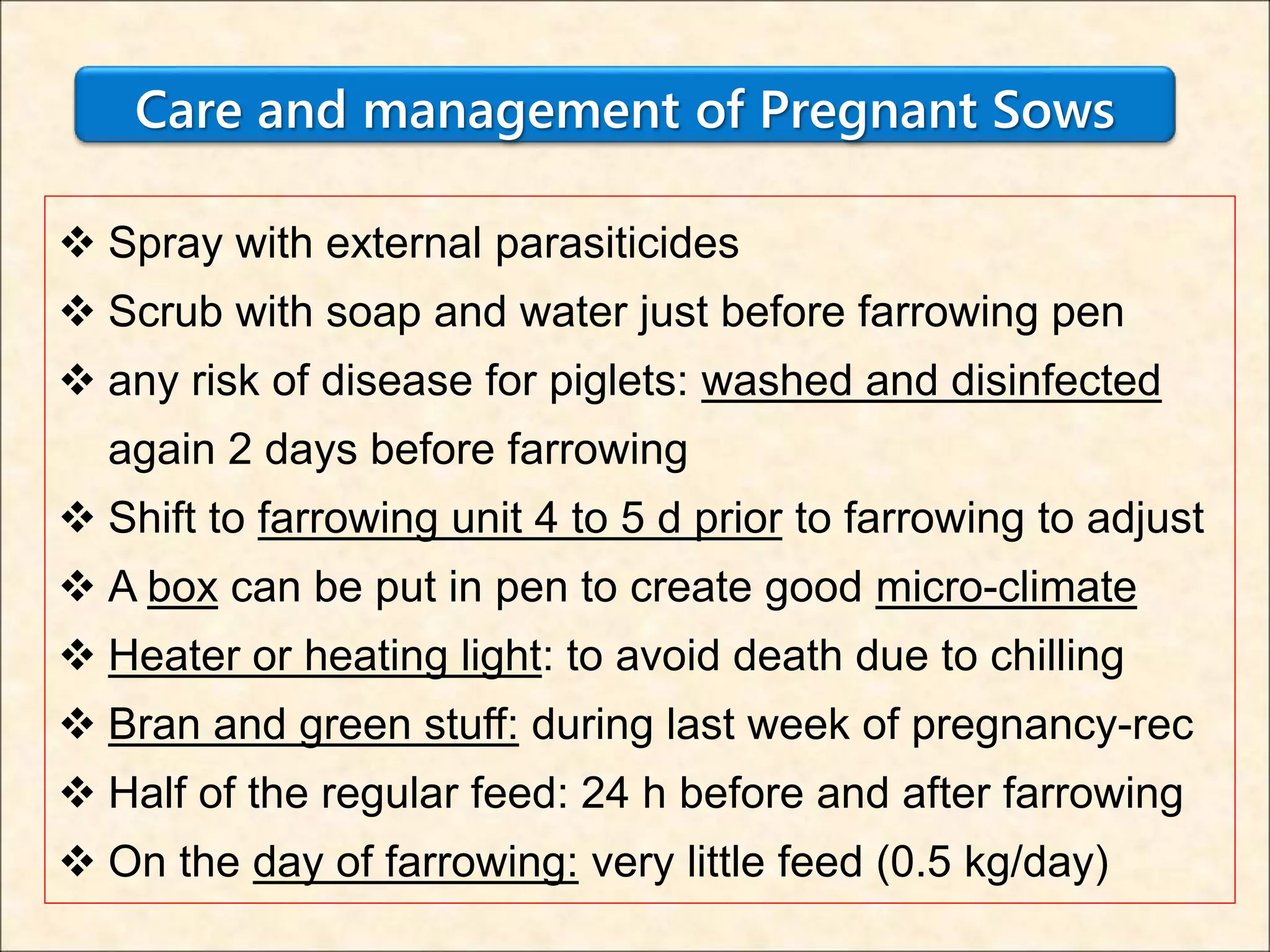 Perumal care and management of pregnant sow | PPTX