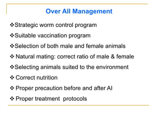 Perumal reproductive management in mithun | PPT