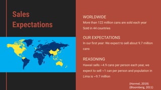 Peru Marketing Plan | PDF