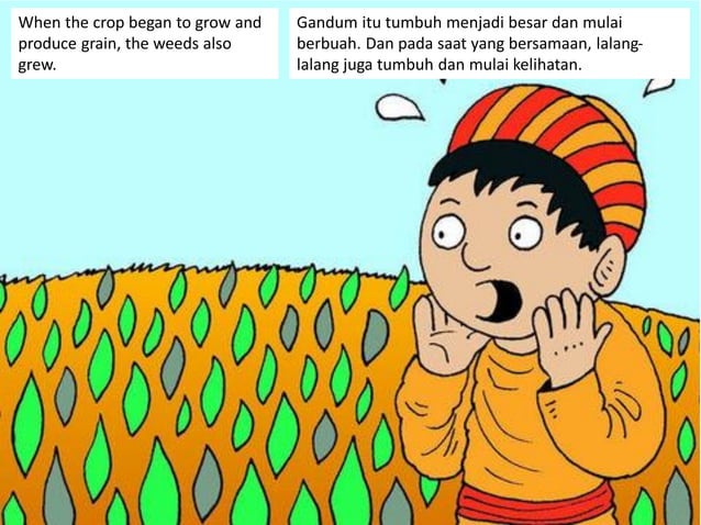 Perumpamaan tentang Lalang dan Gandum.pdf
