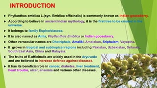 Medicinal Usage of Phyllanthus emblica. Dr.V.Vijaya, Assistant ...